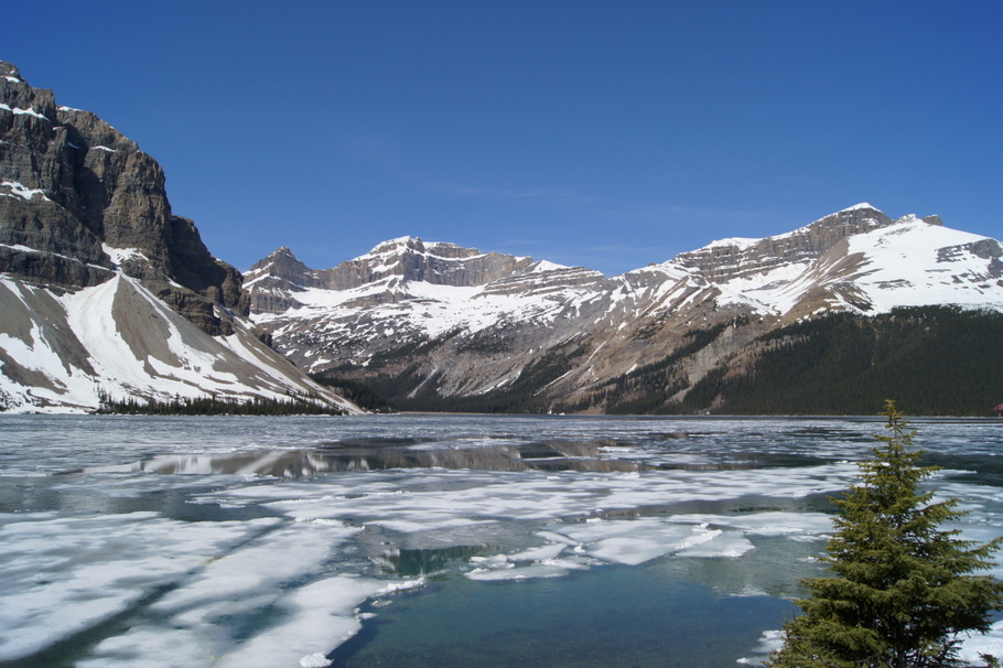 Day 22: Icefields Parkway Pictures – Wandering Dawgs