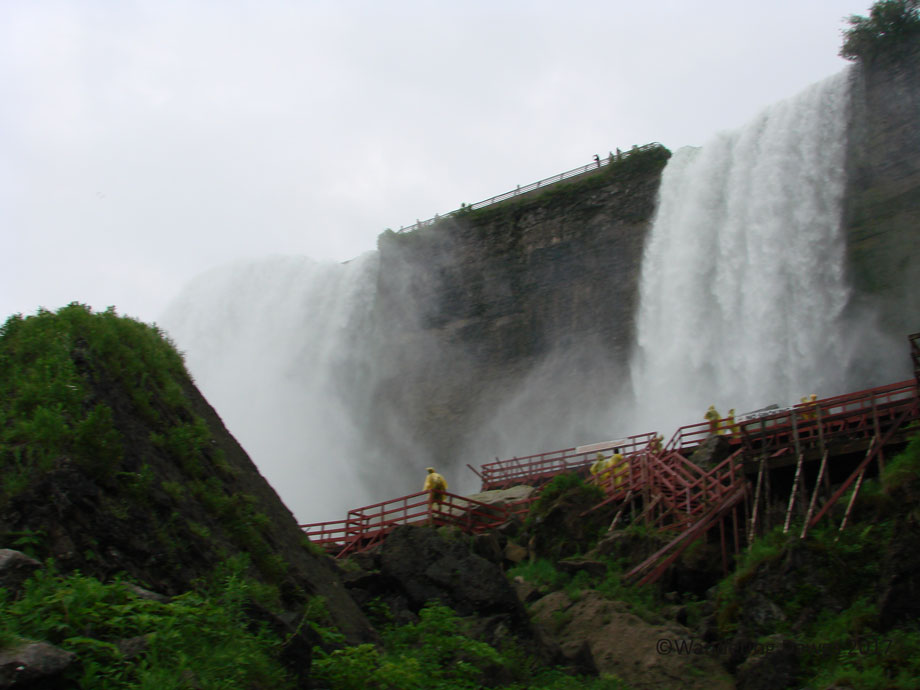 Wandering Around America One State at a Time – New York – Wandering Dawgs