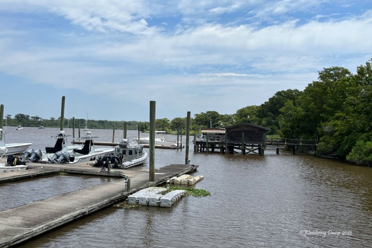 June – At Home and another Road Trip – Wandering Dawgs