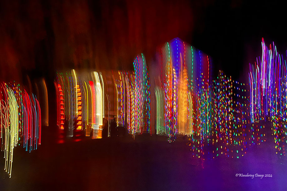 Lens Artists Photo Challenge #296 – Abstracts – Wandering Dawgs