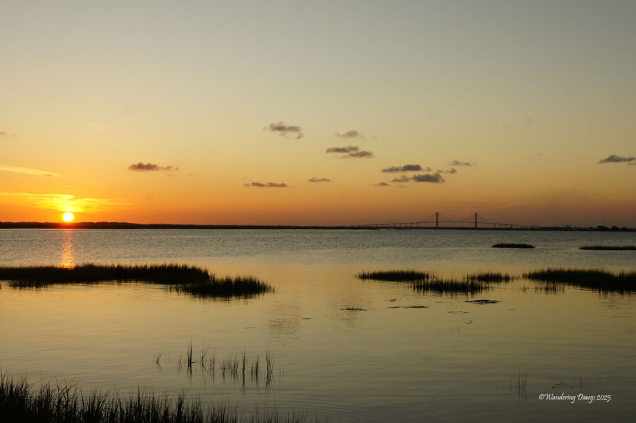 Lens Artists Photo Challenge #352 – Mellow – Wandering Dawgs