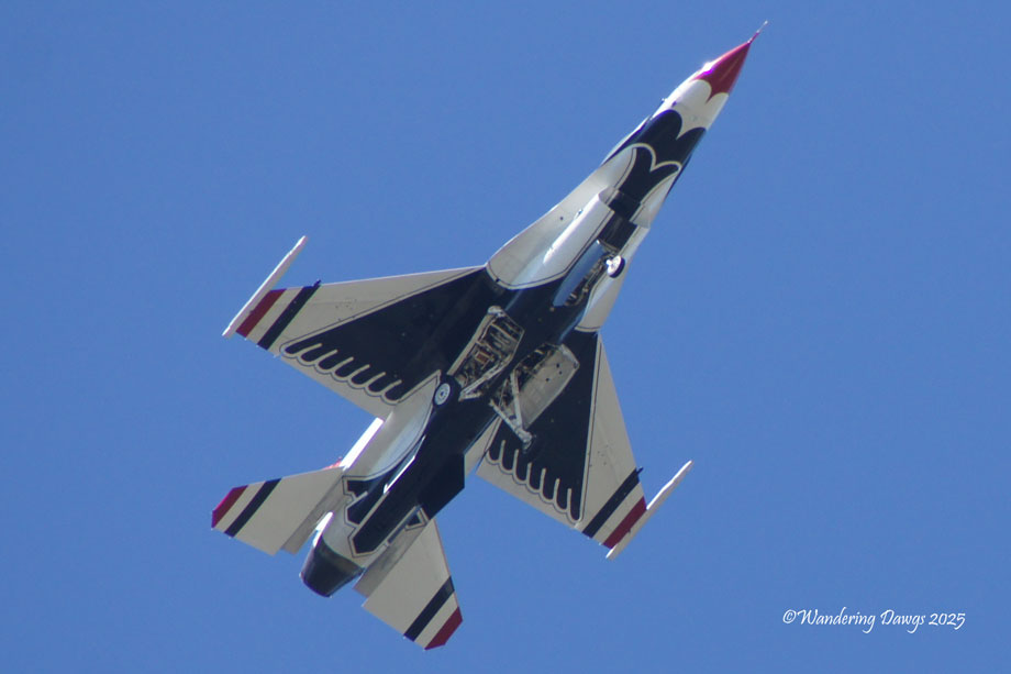 Lens-Artists Photo Challenge #376 – Wings – Wandering Dawgs