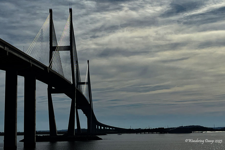 Lens Artists Photo Challenge #379 – Favorite Images of 2025 – Wandering ...