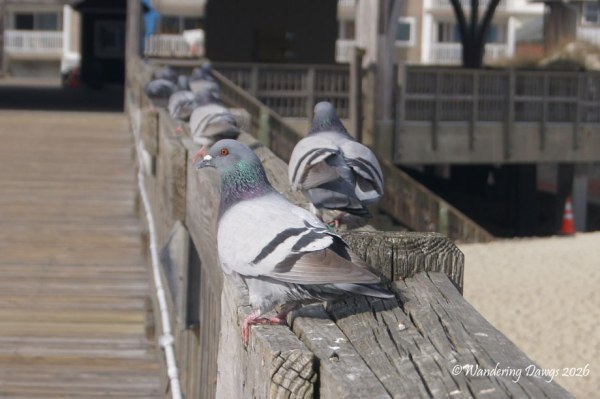 Lens Artists Photo Challenge #380 – What’s around the Corner ...